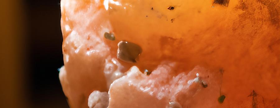 The Surprising Truth About Dirt And Mold On Himalayan Salt Lamps ...