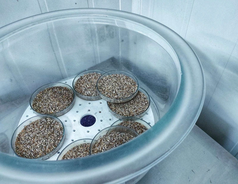 Hydrated Salt: Definition, Properties, And Uses - Forged By Salt